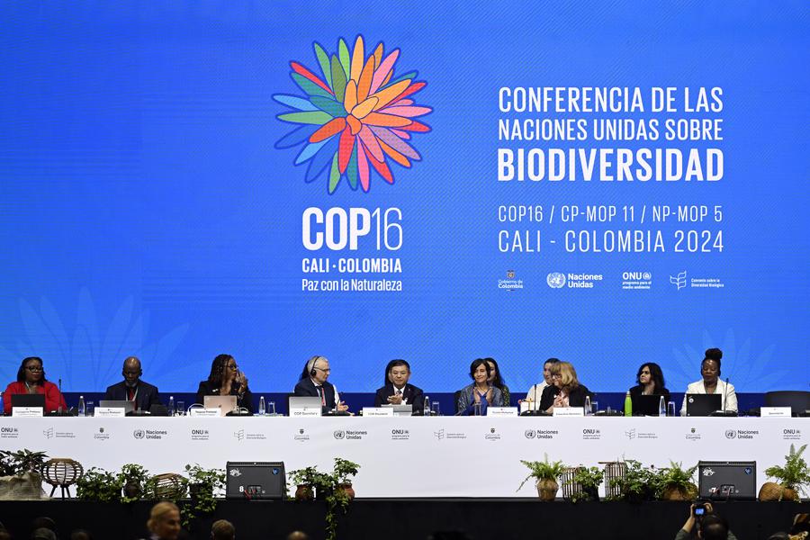 (Multimédia) La COP16 s'achève sur une reconnaissance historique des communautés autochtones et ...